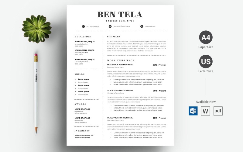 Ben Tela - CV Resume Template #123184 - TemplateMonster
