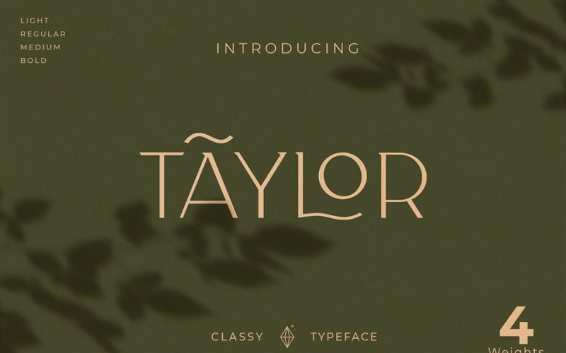 Classy Taylor Typeface Font #145927 - TemplateMonster