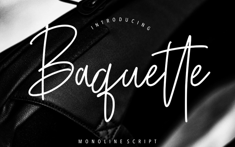 Baquette Monoline Cursive Font #157838 - TemplateMonster