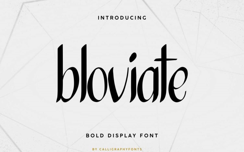 Bloviate Font #173264 - TemplateMonster