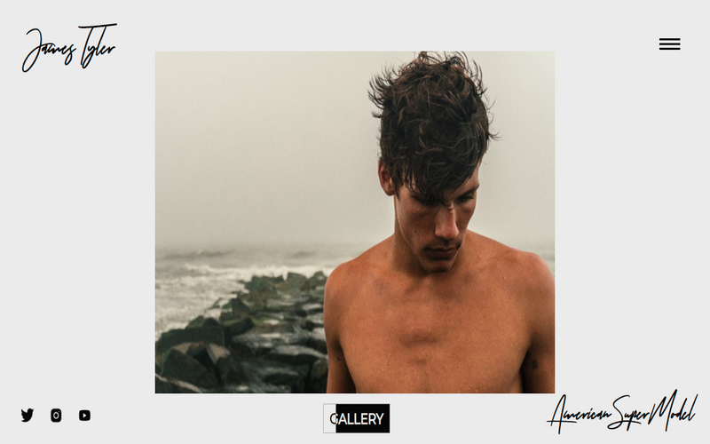 Modelos de site de portfólio de modelos HTML5 por TemplateMonster