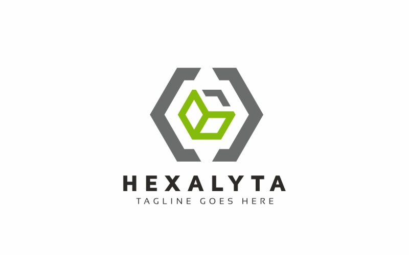 Hexagon Data Logistics Logo Template - TemplateMonster