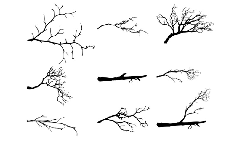 Vector Set of Dry Tree Branches #203039 - TemplateMonster