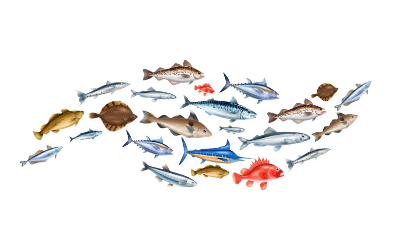 Concept d'illustration vectorielle poisson réaliste