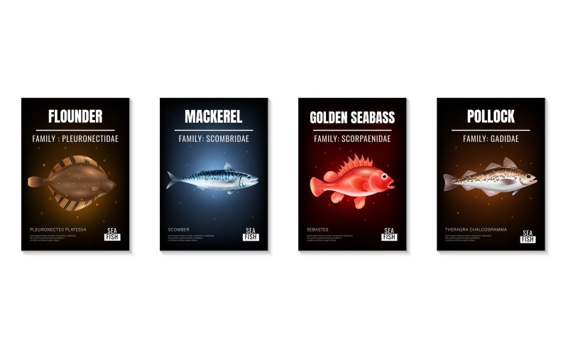 Realistisches Fisch-Poster-Set 210330519 Vektor-Illustration-Konzept