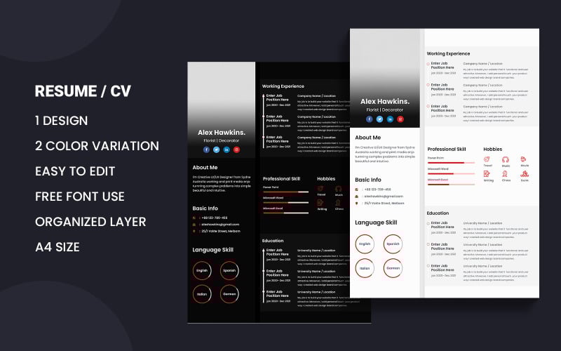 Attractive Modern Resume CV Template - TemplateMonster