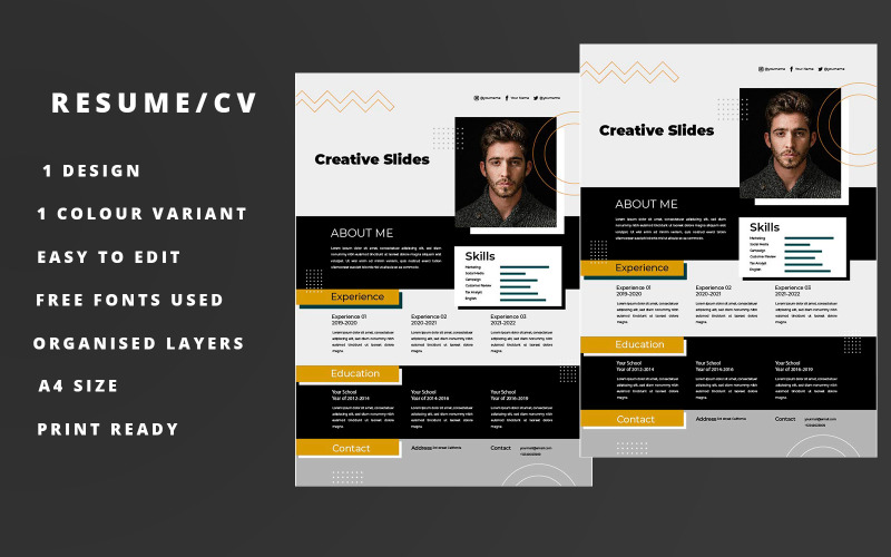 Programmer - Modern CV Resume Template - TemplateMonster