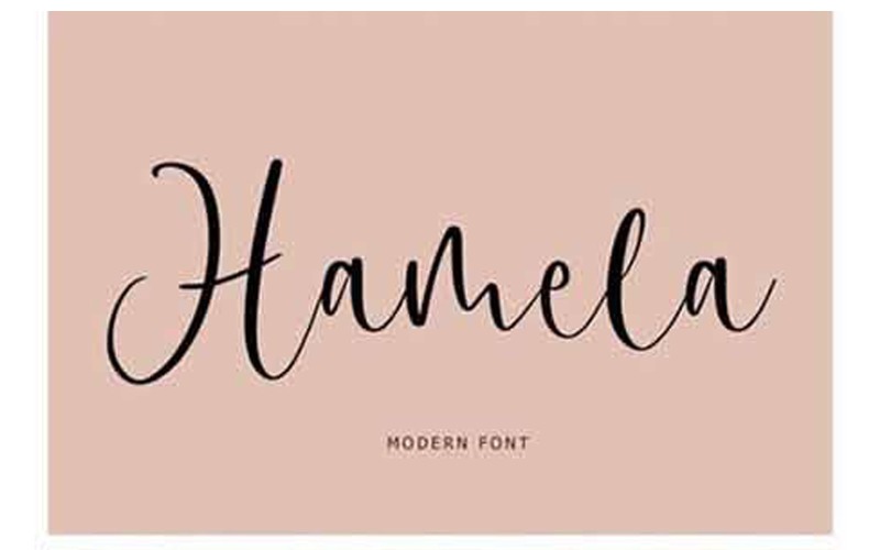 Hamela Font - Hamela Font #218876 - TemplateMonster