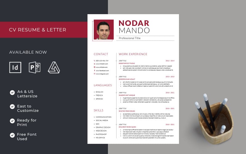 Modèle de CV propre Adobe InDesign, PowerPoint et Affinity Publisher