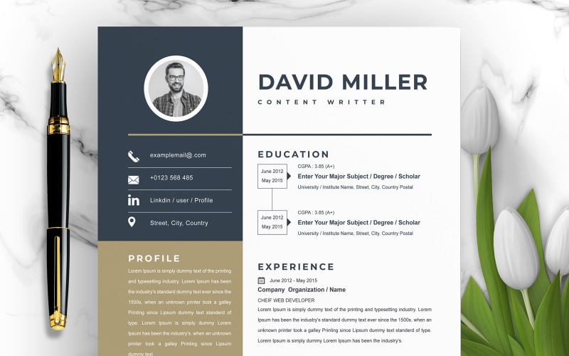 David Miller / Resume Template #226128 - TemplateMonster