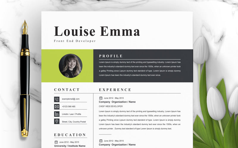 Louise Emma / Professional CV Template - TemplateMonster