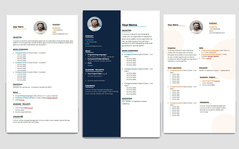 3 Professional IT Resume Templates #227886 - TemplateMonster