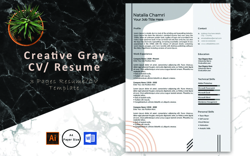 Creative Gray Shade Resume Template #237729 - TemplateMonster