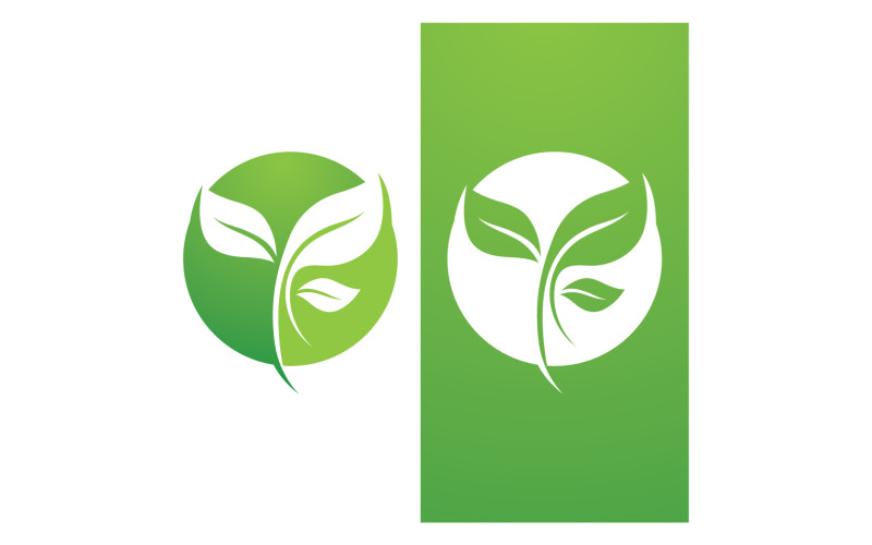 Modelo de logotipo de vetor verde folha verde V2