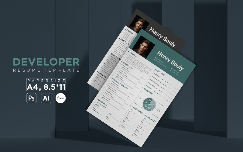 Developer Resume Template #254303 - TemplateMonster