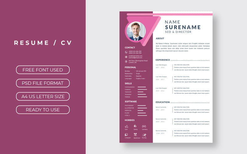 Professional Director Curriculum Vitae Design