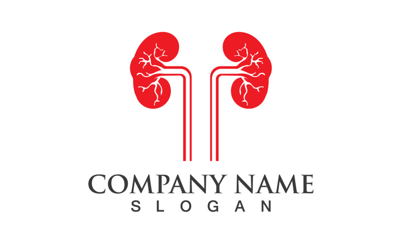 Kidney Vector Illusrtation Design Logo Template V3