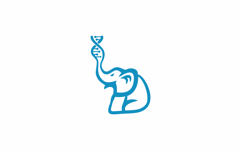 Elephant Dna Logo Template #269275 - TemplateMonster