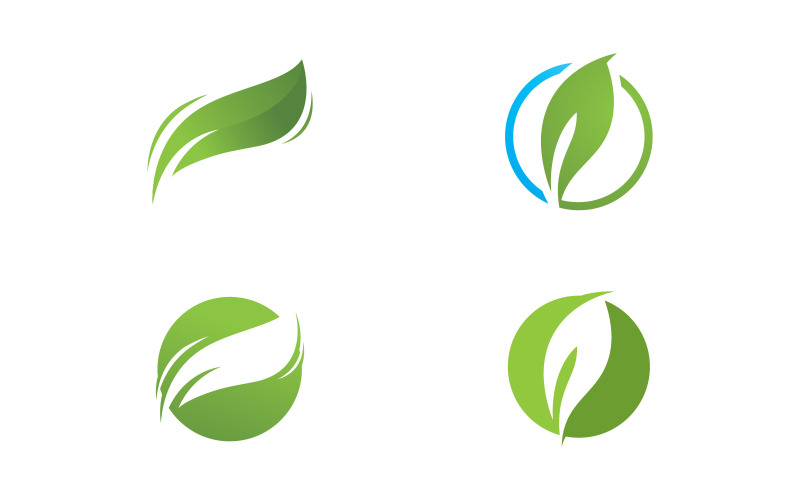Modèle de logo de feuille de nature Illustration vectorielle V13