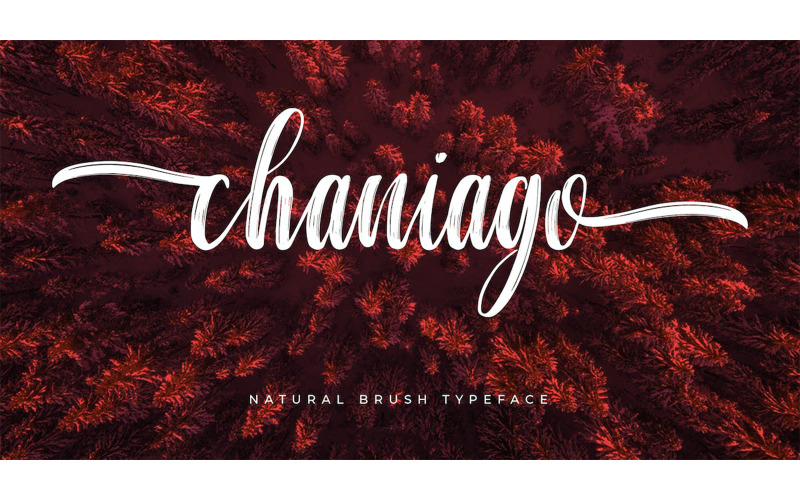 Snugle | Fancy Display Font #298914 - TemplateMonster