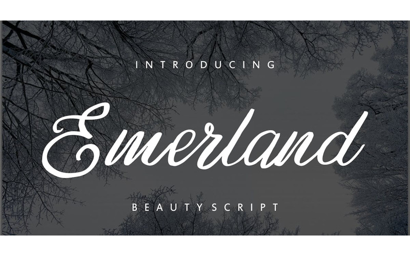 Police manuscrite Emerland Beauty Script - TemplateMonster