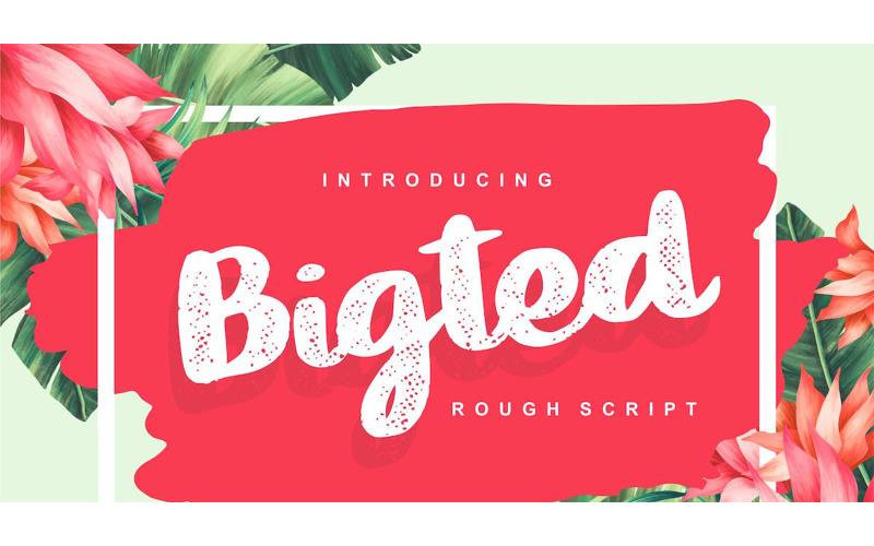 Fuente Bigted Rough Script - Fuente Bigted Rough Script