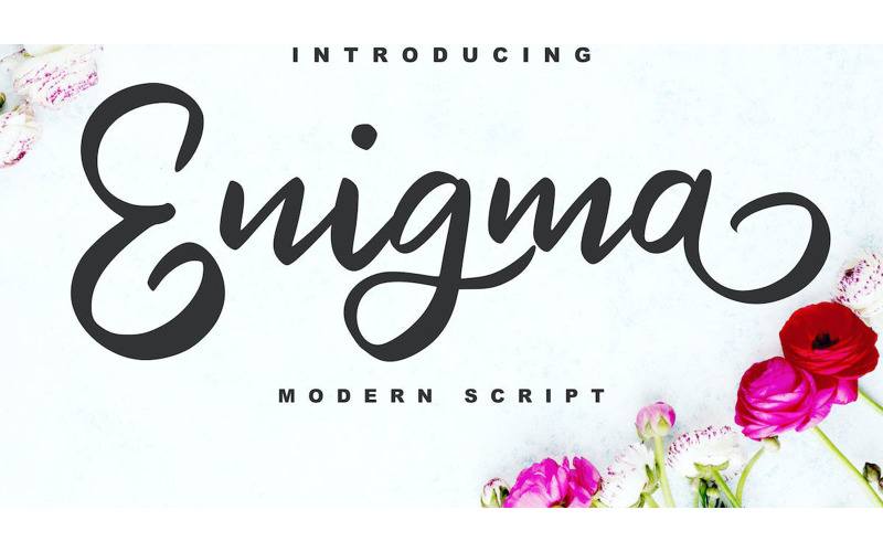 Fuente Enigma Modern Script #297827 - TemplateMonster