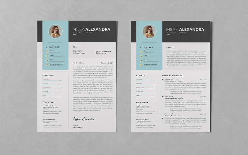 CV/CV PSD Design Templates Vol 120 #298247 - TemplateMonster