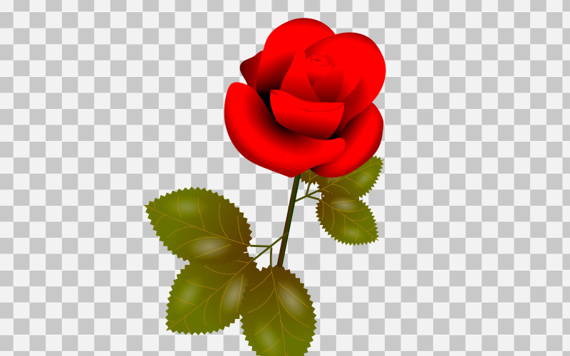 Vector rosa ramo de rosas realista con flores rojas