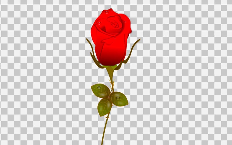 Vector rose realistic rose leaf and bud with red flower concept