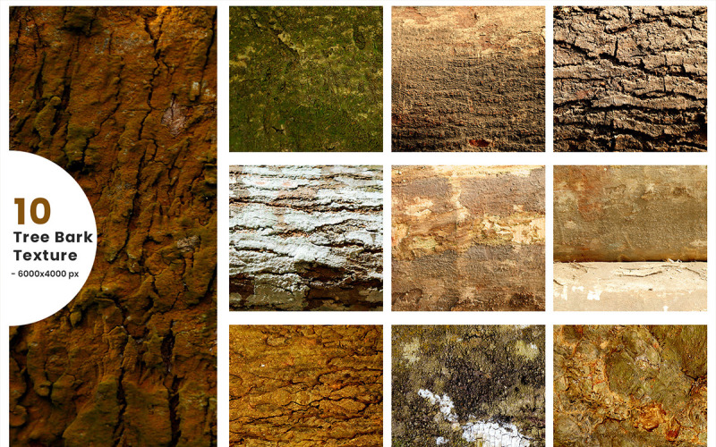 Tree bark texture background and Timber texture background. Wood ...