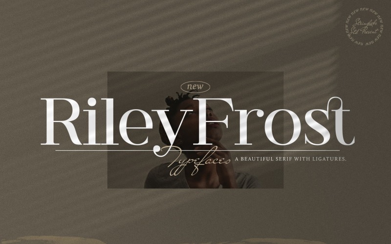 Riley Frost - Casual Serif Font #313081 - TemplateMonster