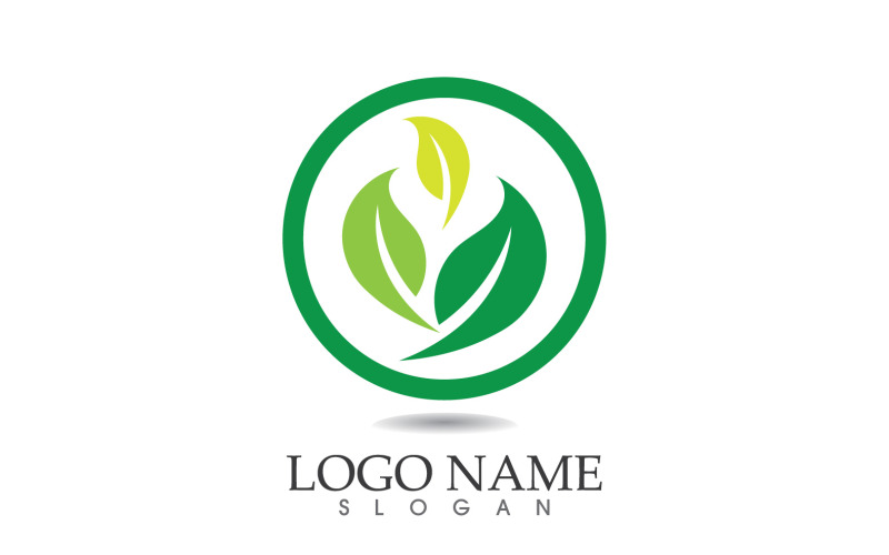 Vetor de logotipo fresco de natureza de folha ecológica verde v36
