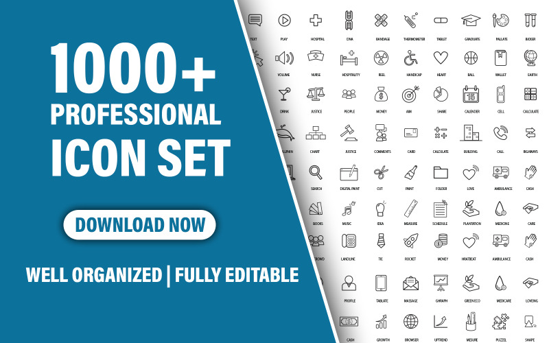 Paquete de más de 1000 iconos profesionales - TemplateMonster