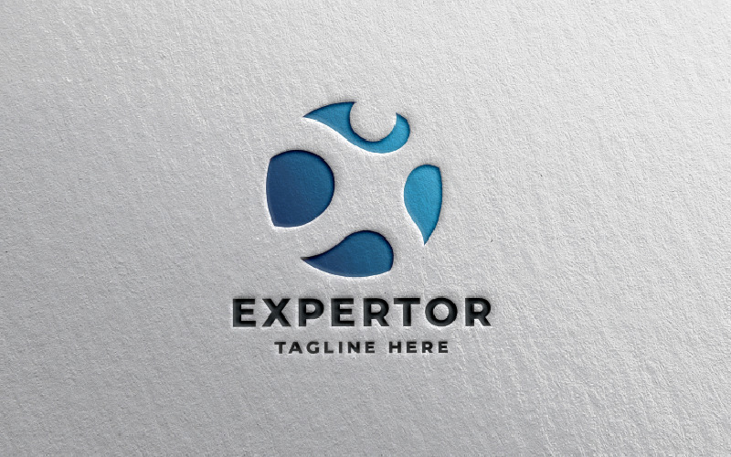Modèle Pro de logo d'homme expert - TemplateMonster