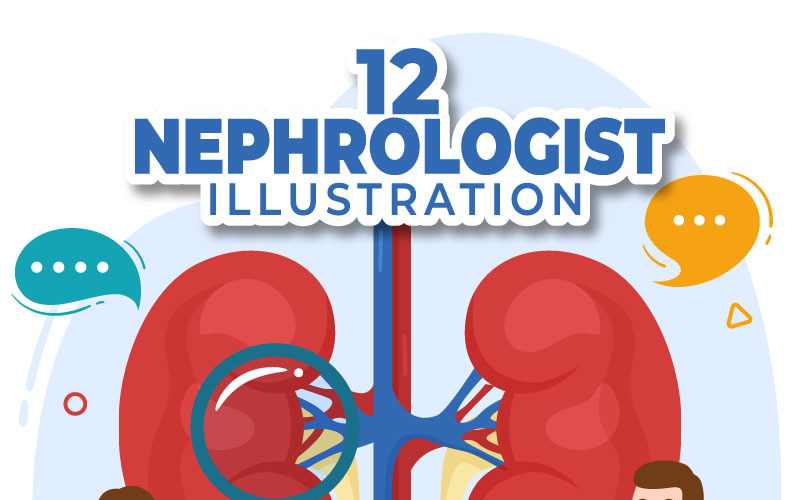 12 Illustration vectorielle de néphrologue - TemplateMonster