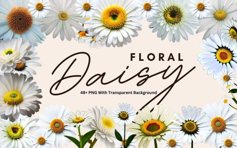 Margarida Floral Premium PNG Pacote #324622 - TemplateMonster