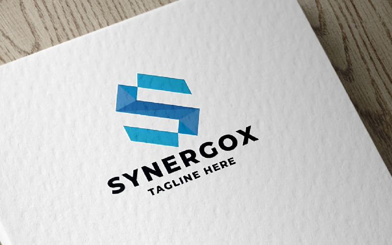 Synergox - Letter S Logo Temp #325049 - TemplateMonster