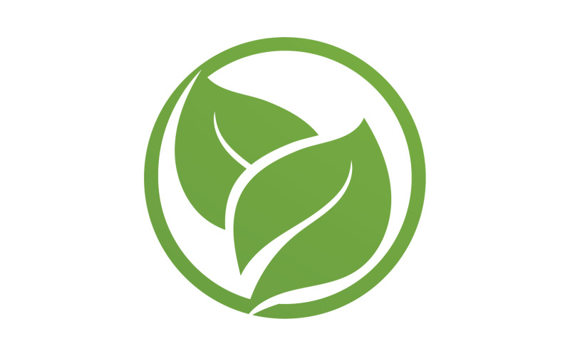 Logotipo fresco da natureza do chá verde da folha v36
