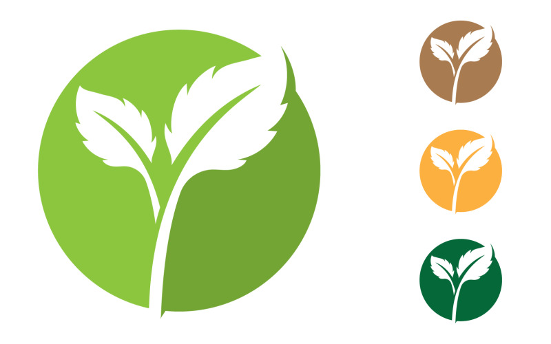 Flower leaf circle decoration or logo nature v8