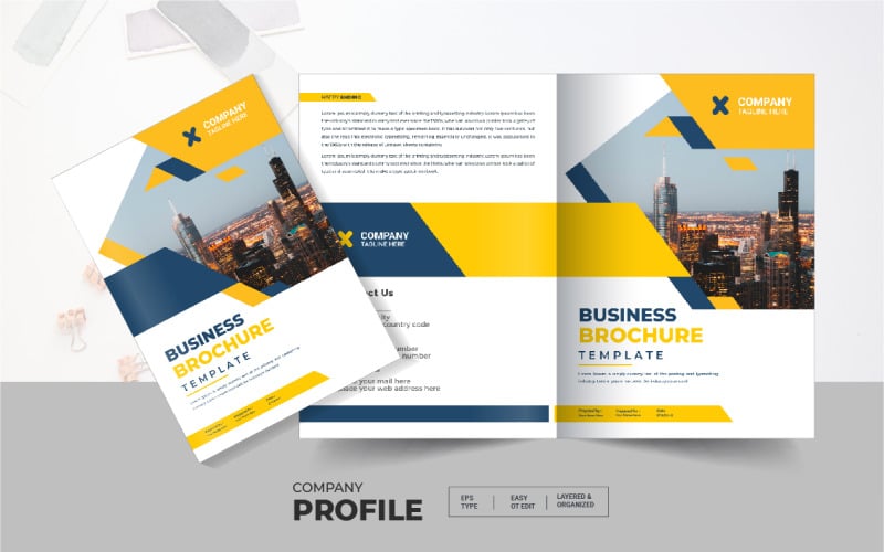 Professional Company brochure Template - TemplateMonster