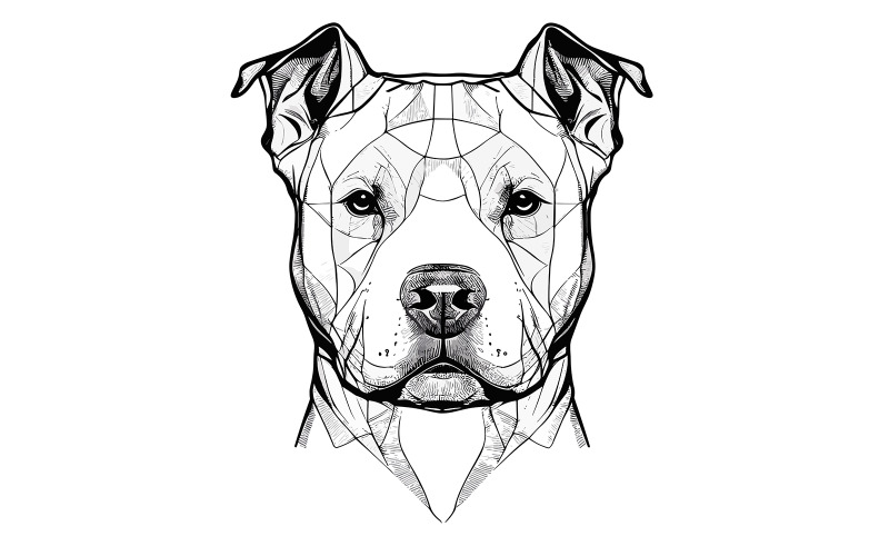 Ennis Shane Art Pitbull Kopf Symmetrie Illustration Vektor