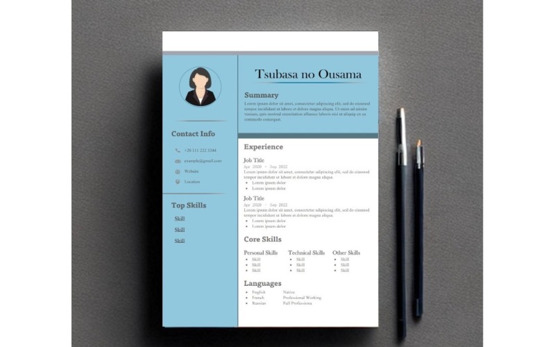 Modèle de CV formel modifiable #330917 - TemplateMonster