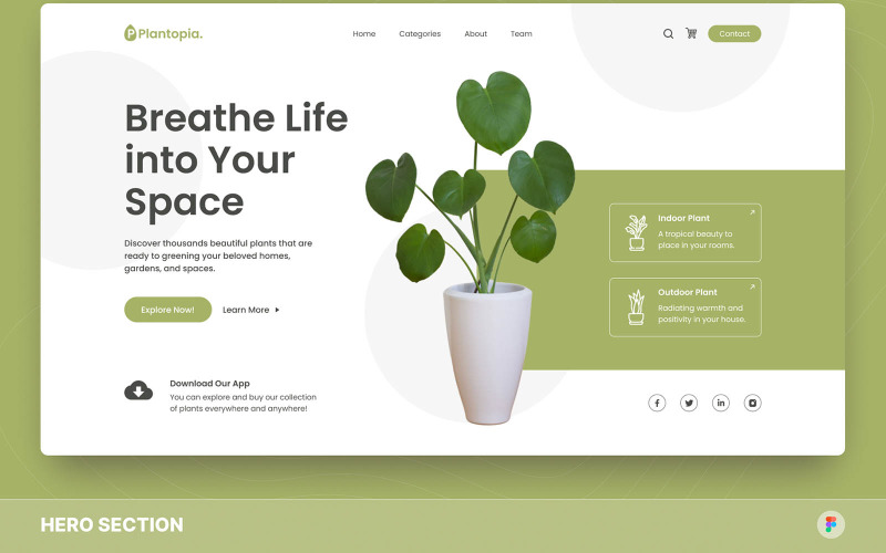 Plantopia – Plant Shop Hero Section Figma Template