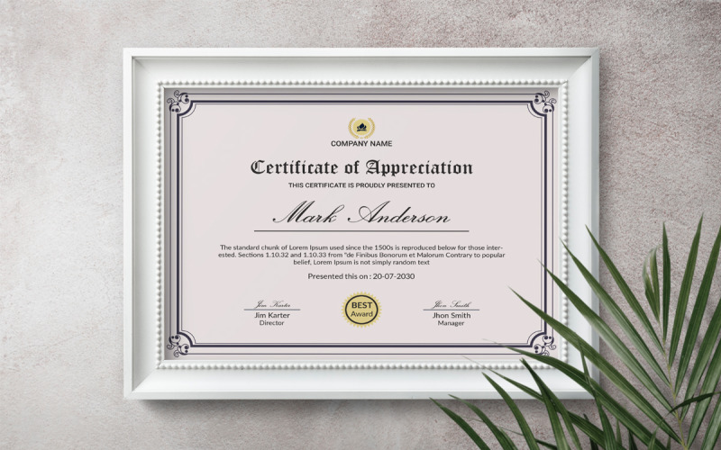 Certificado de Apreciación Empresarial Profesional
