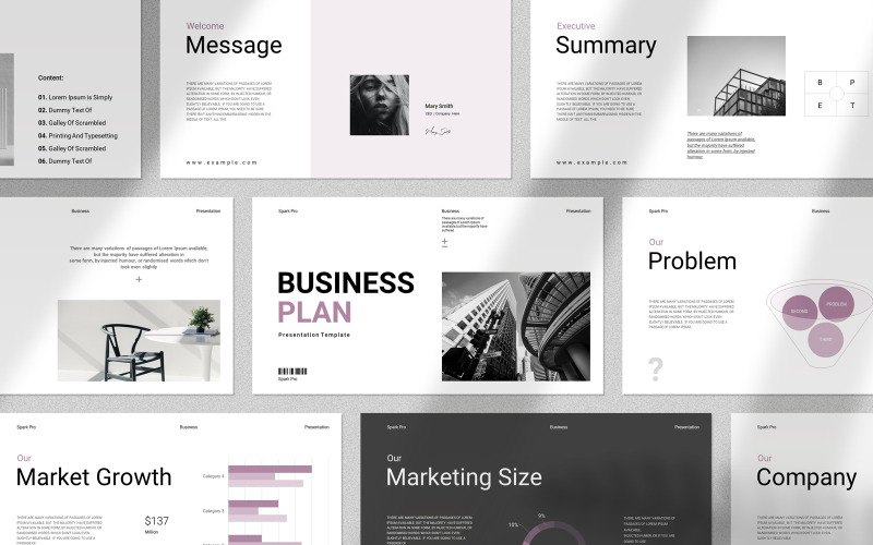 Smart Business Plan Presentation Template Layout