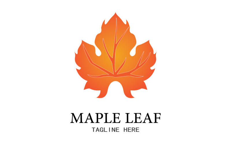 Leaf Mapple vector logo icon v11 #355062 - TemplateMonster