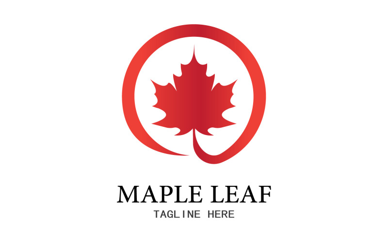 Leaf Mapple vector logo icon v18 #355066 - TemplateMonster