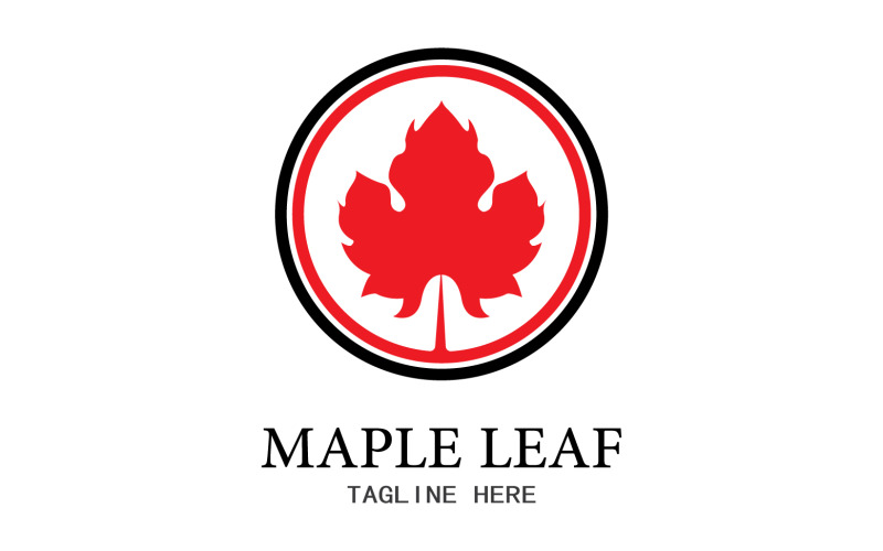 Leaf Mapple vector logo icon v19 #355074 - TemplateMonster