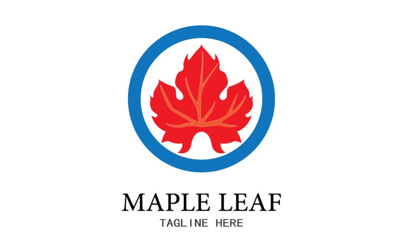 Leaf Mapple vector logo icon v20 #355069 - TemplateMonster